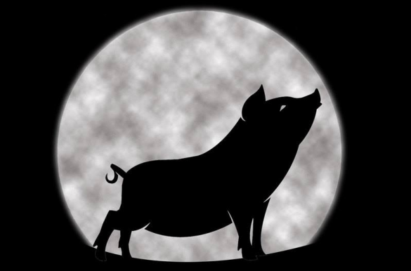 The Manx Pony of the Isle of Man