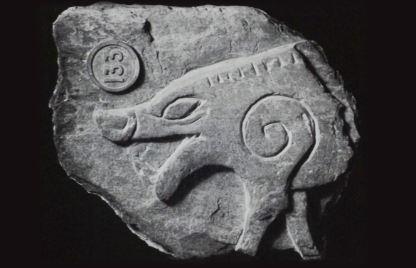 The Manx Pony of the Isle of Man