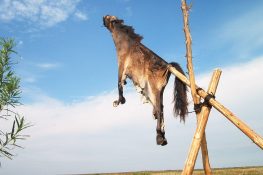 Jimmy Squarefoot - Isle of Man Folklore